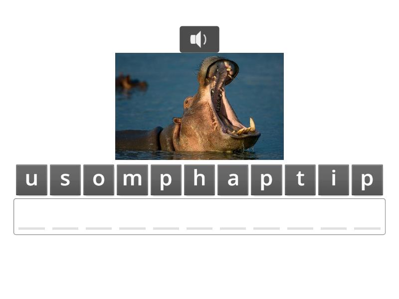 U2 - Lesson 1 - Anagram