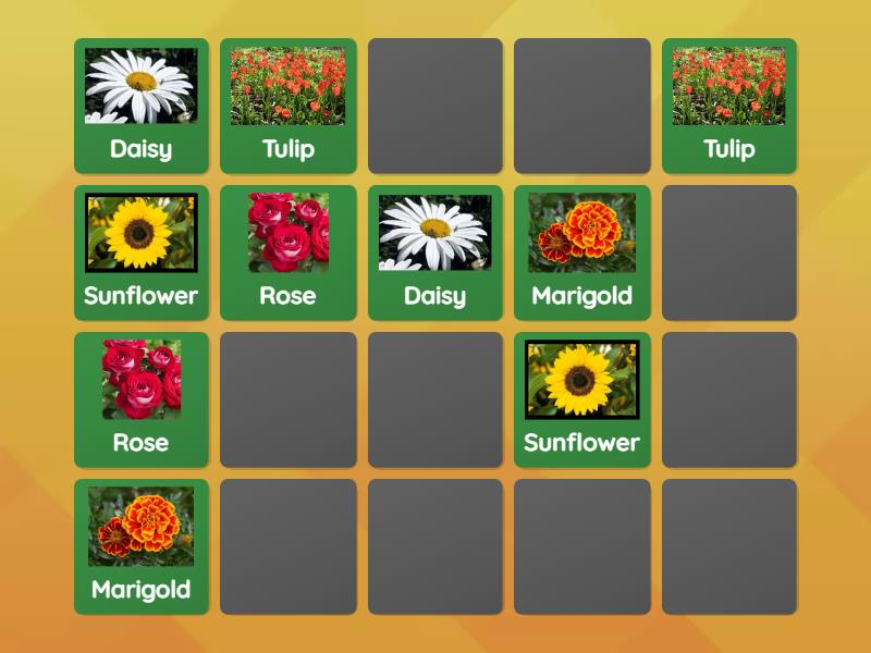 hallo match the flowers - Matching pairs