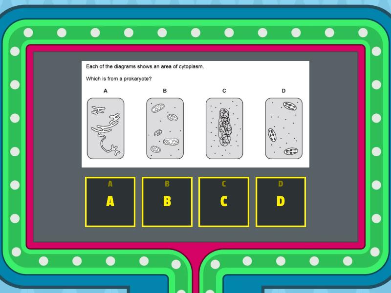 Classification of living organisms - Quiz 1 - Gameshow quiz