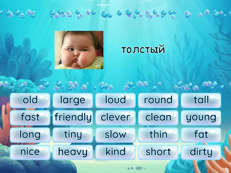 Adjectives Sea Animals - Find the match