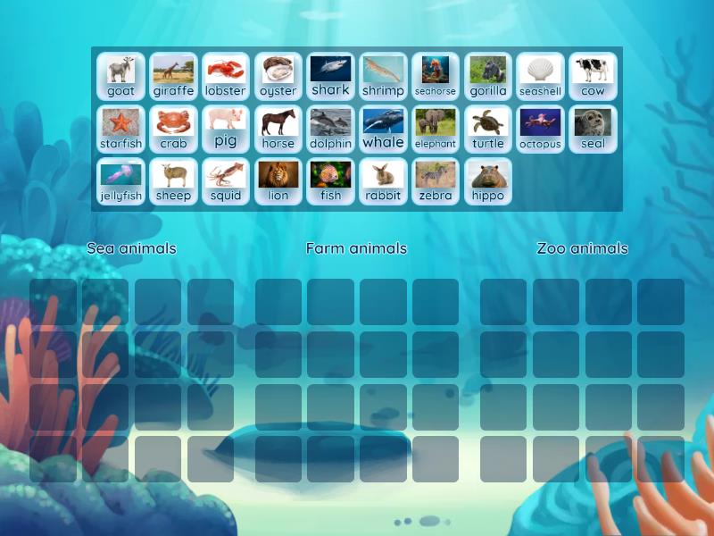 Sorting - sea animals - MEIE - Group sort