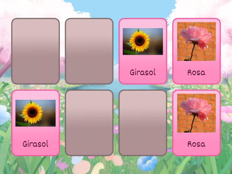El jardin de las flores - Matching pairs