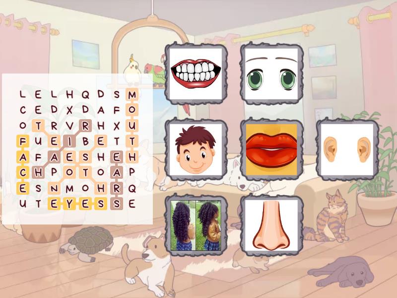 my face - Wordsearch