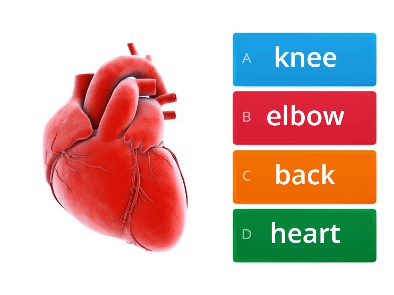 WTE4.7 EP1.1 Vocabulary Parts of the Body - Quiz