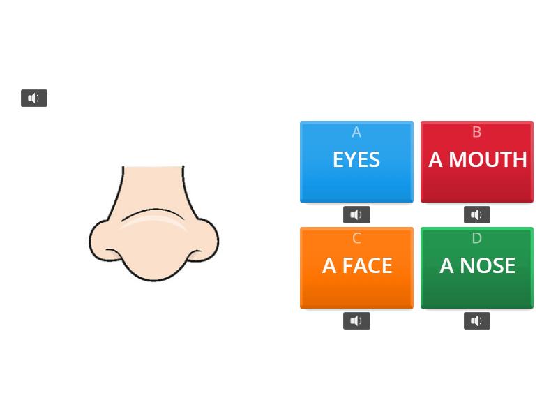 PARTS OF MY FACE 2 - Quiz