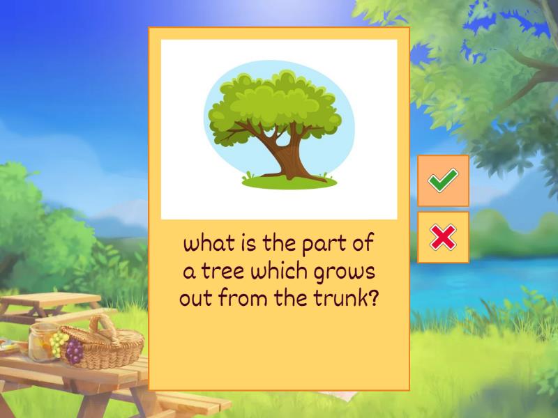 Consonant Blends nk, nch - Flash cards