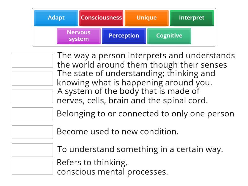 Basic cognitive processes - Match up