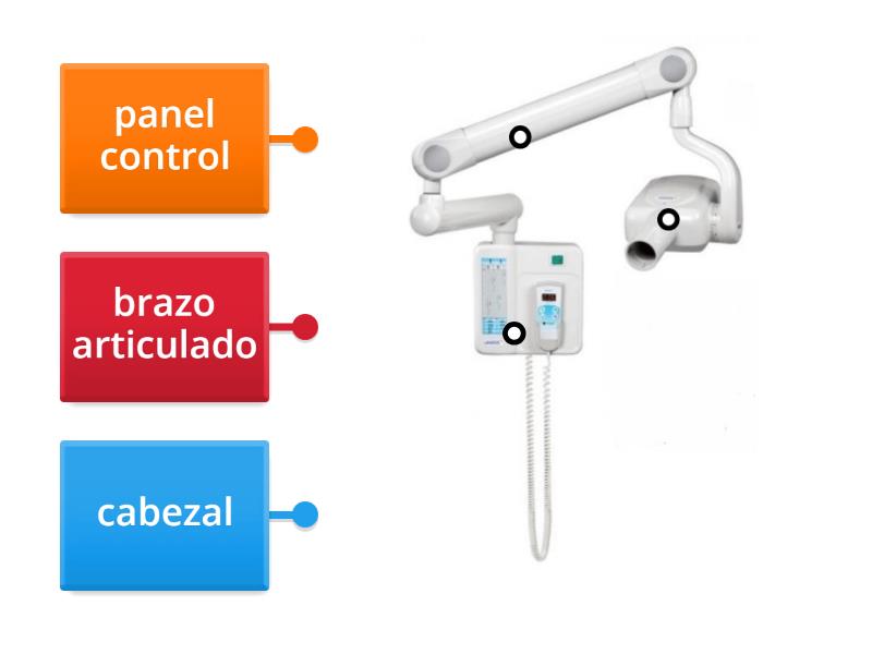 Rayos X intraoral - Labelled diagram