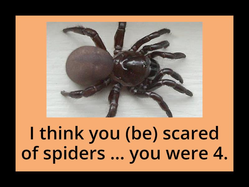 for & since - Flash cards