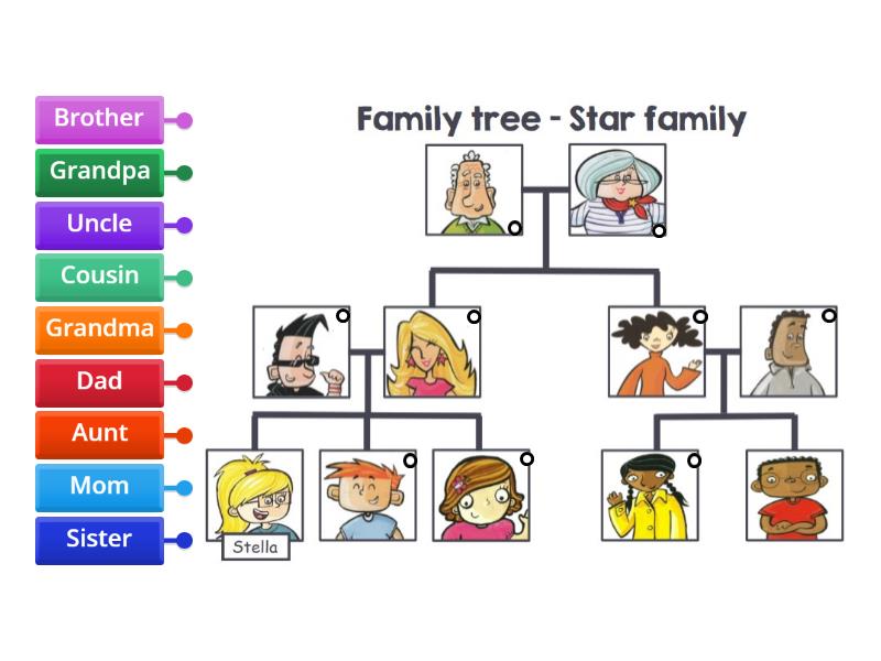 KB2 - unit 5 (Family tree) - Labelled diagram