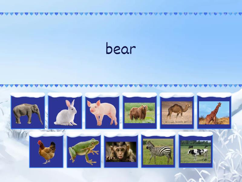 level 1-animals - Find the match