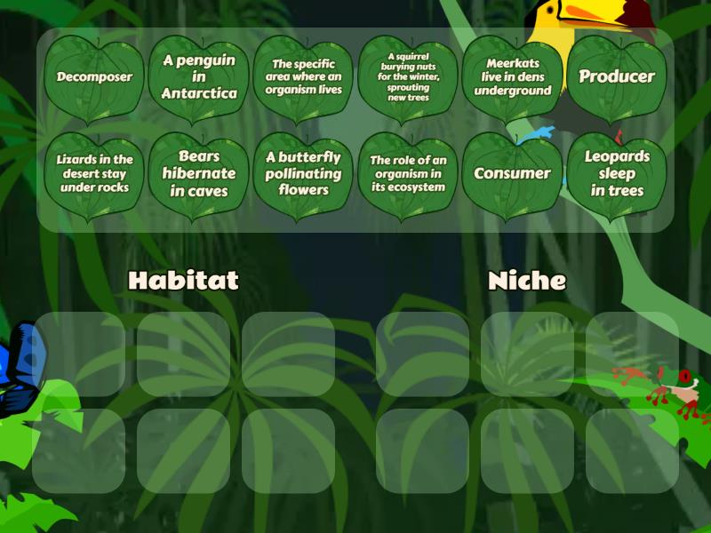 Habitats & Niches - Ordenar por grupo