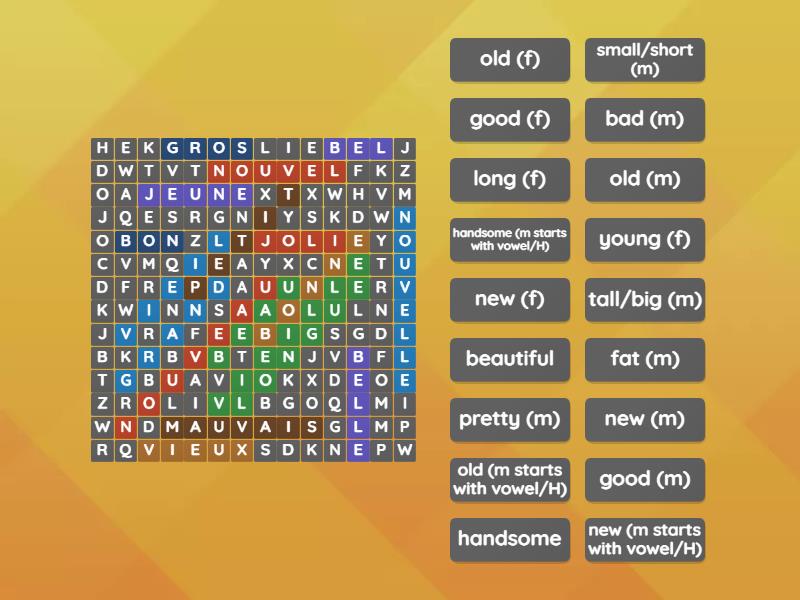 Bags adjectives - Wordsearch