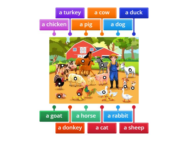 Farm animals - Labelled diagram