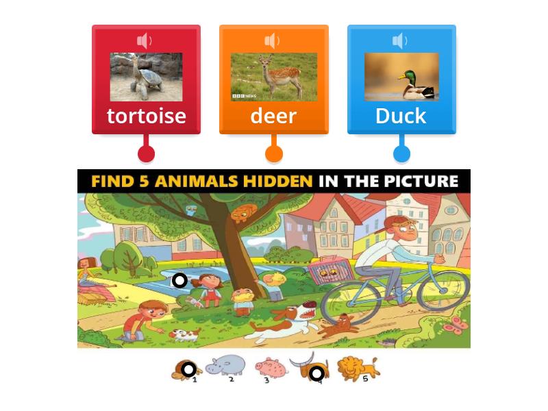 find the animals - Labelled diagram
