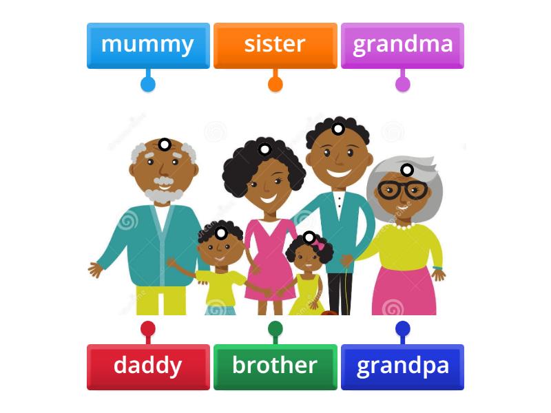 FAMILY - Labelled diagram