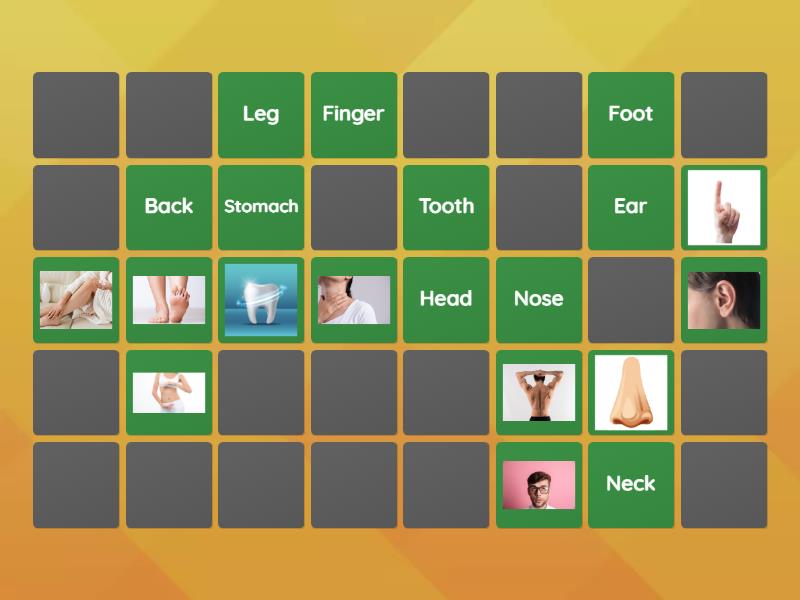 Body parts - Matching pairs