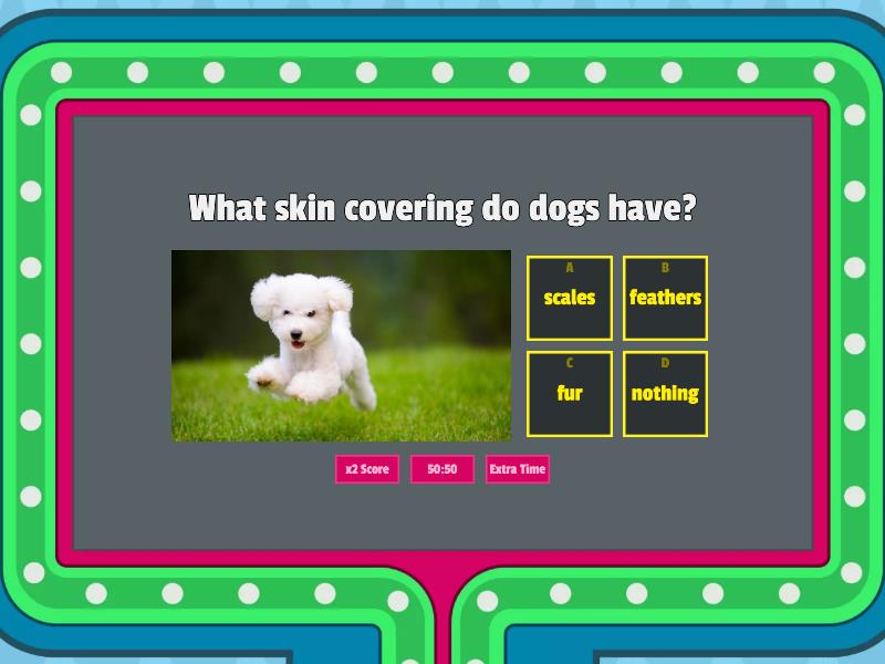 Chapter 1 Animals - Gameshow quiz