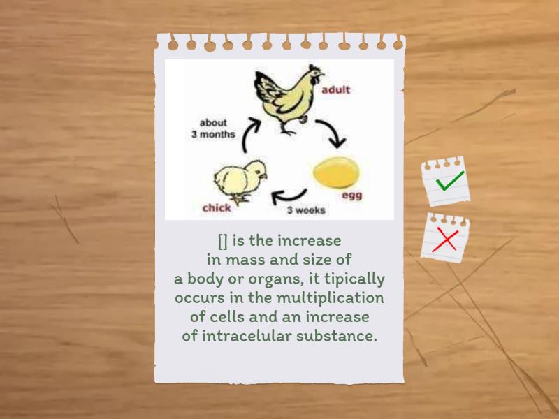 What makes something alive - Flash cards