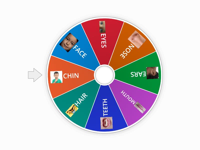 FACE PARTS - Spin the wheel