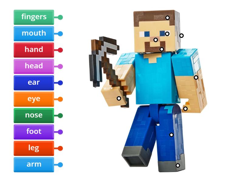 Body parts Minecraft - Labelled diagram