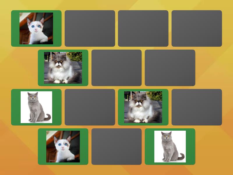 Cats memory - Matching pairs