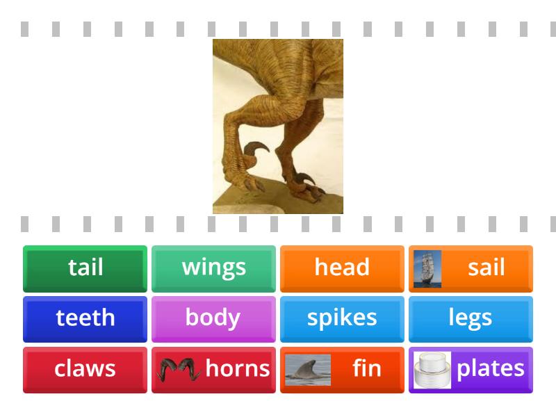 Dinosaur body parts_match - Find the match