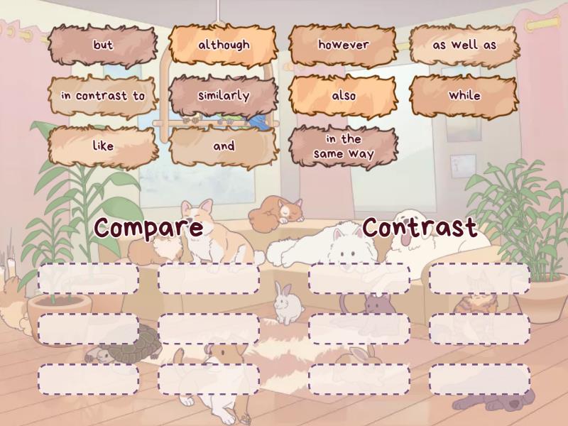 Linking words of comparison and contrast - Group sort