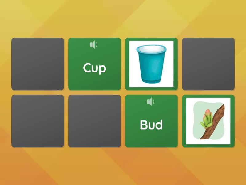 Oxford Phonics u-ug-ud-up - Matching pairs