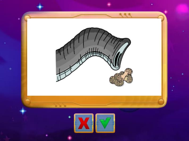 Digraph NG and NK Flashcards - Flash cards