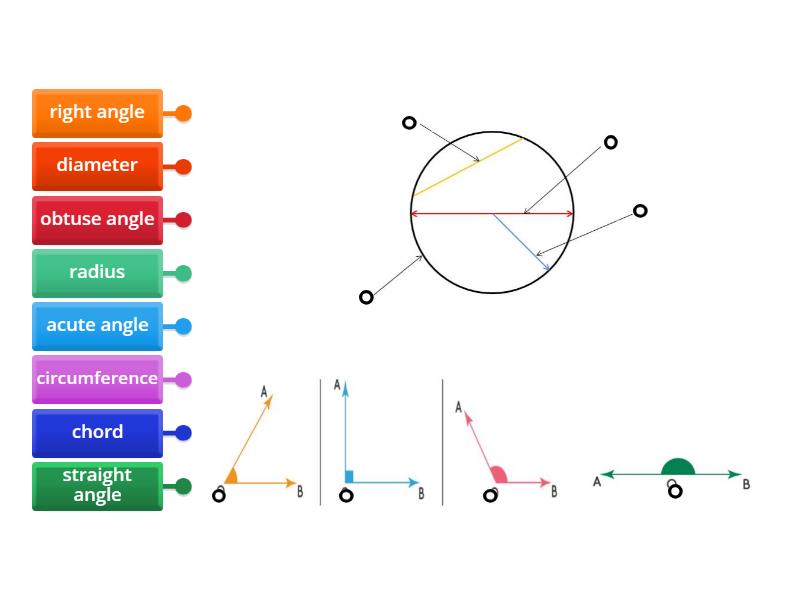 Geometry - Circles and Angles - Labelled diagram
