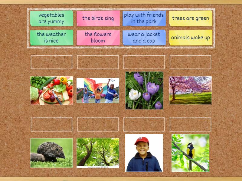 I like spring because ..... - Match up