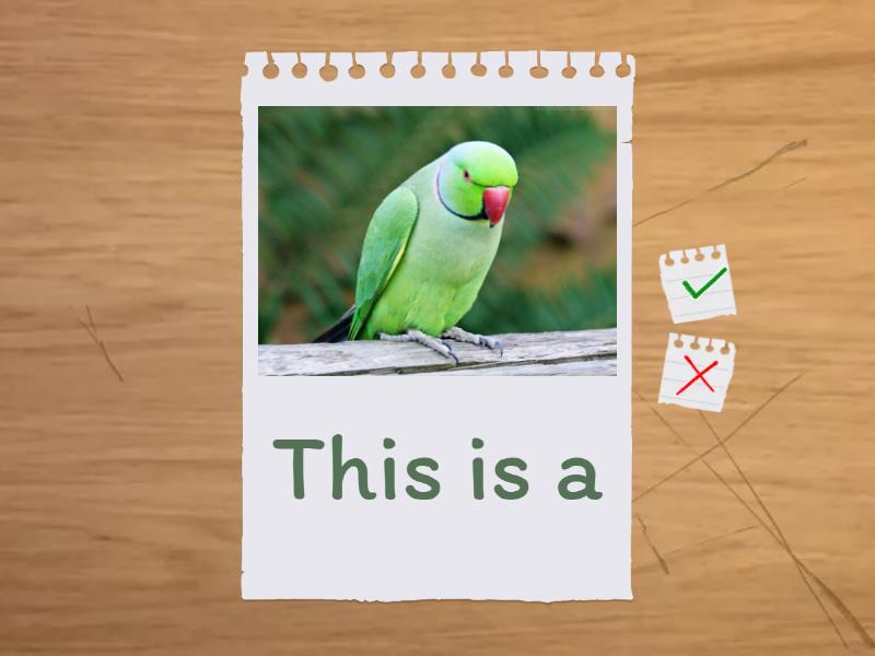 This is a - Flash cards