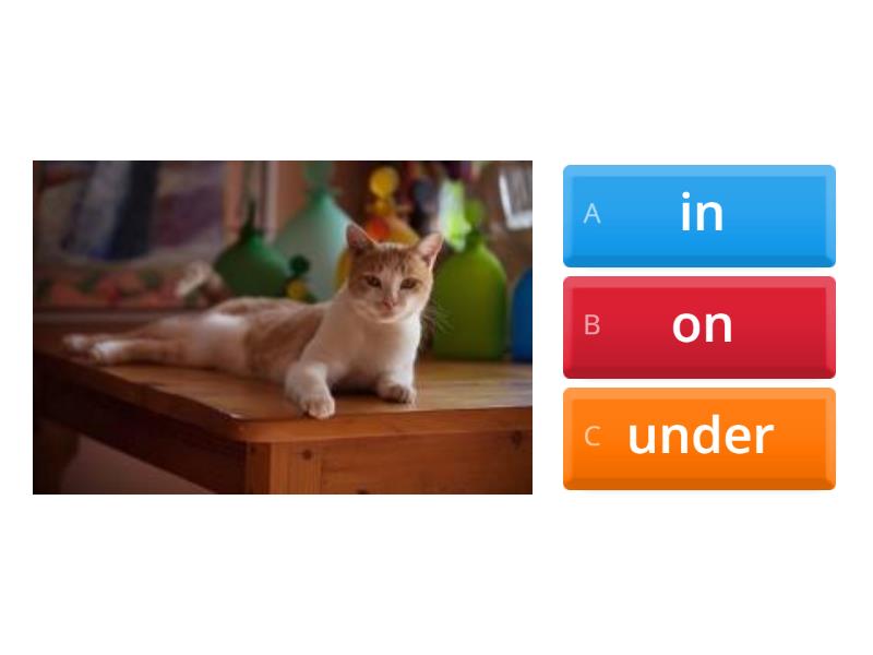 Prepositions in/on/ under - Quiz