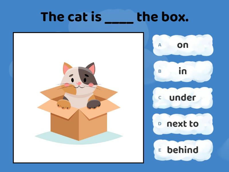 Prepositions of place | The cat & the box - Quiz