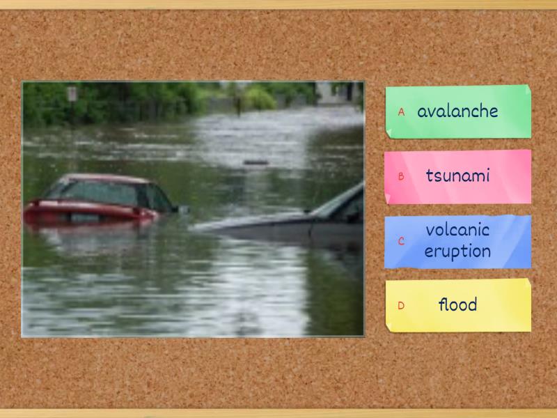 Project 3 Unit 3B Natural Disasters - Quiz