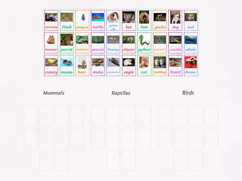 Animals sorting - Group sort