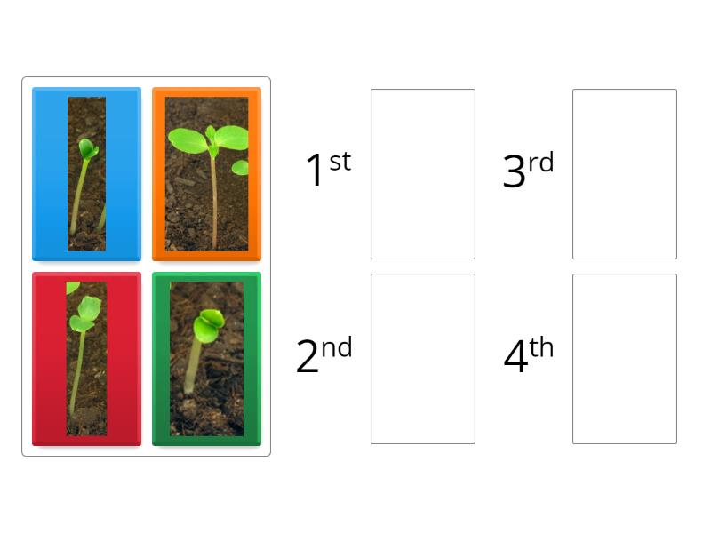 U4D - 3 - Rank order