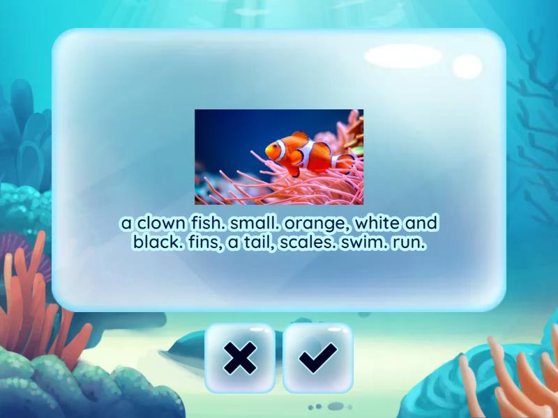 Describe the fish using the following words - Flash cards