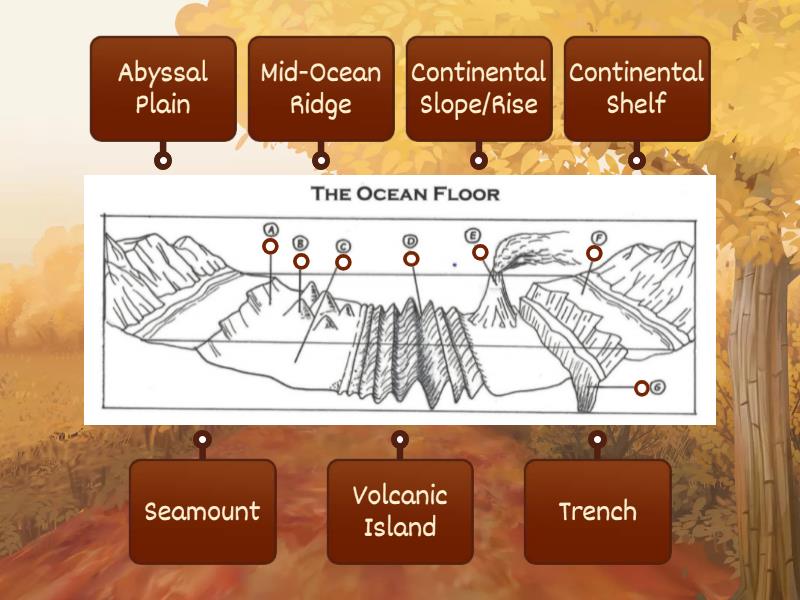 Label the Ocean Floor - Labelled diagram