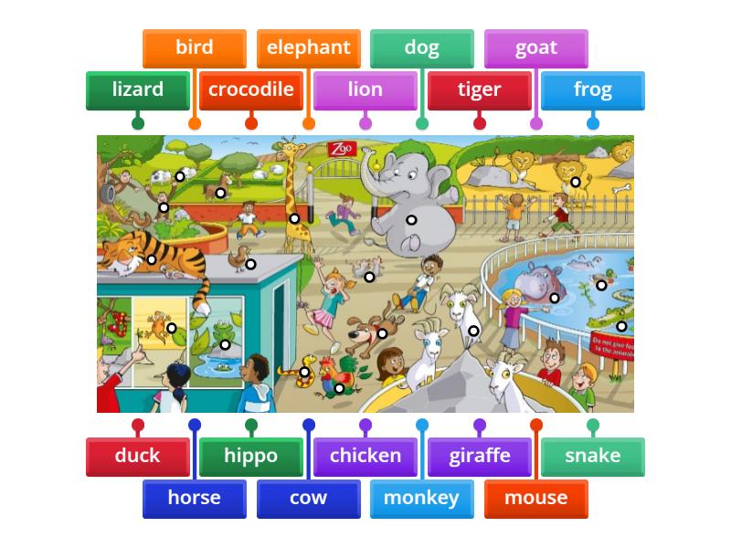 Movers Animals - Labelled diagram