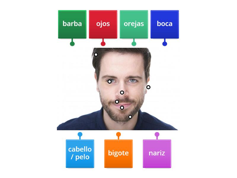 Partes del rostro - Labelled diagram