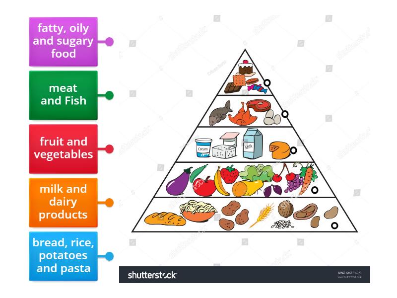 S3.G2.Food Pyramid - Labelled diagram
