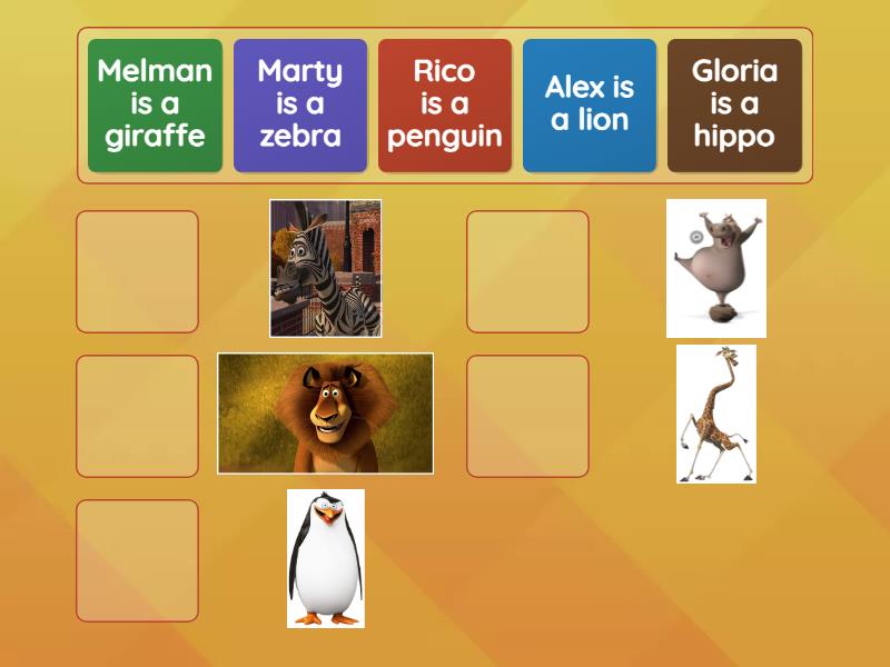 madagascar animals - Match up