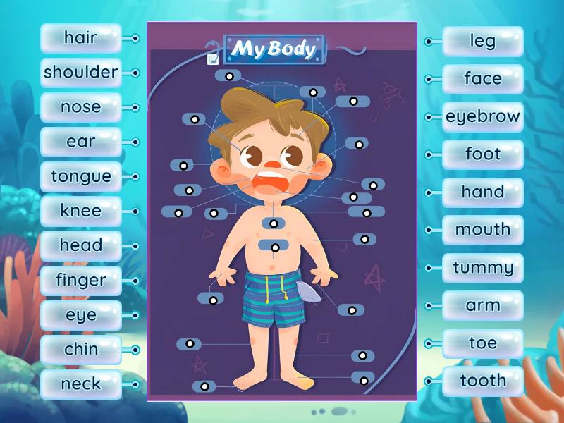 My body - Labelled diagram