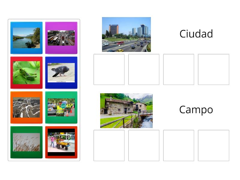 Sonidos del campo y sonidos de la ciudad - Classificação em grupos