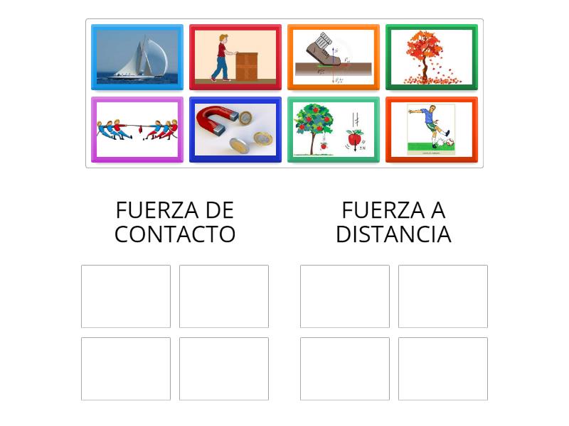 FUERZA DE CONTACTO O FUERZA A DISTANCIA - Group sort
