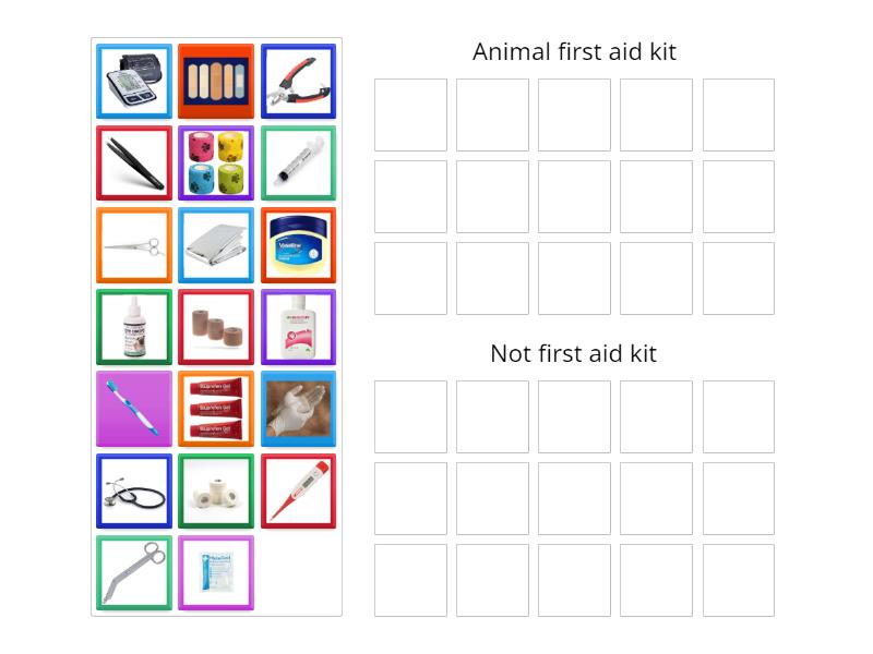 First aid assessment - Group sort