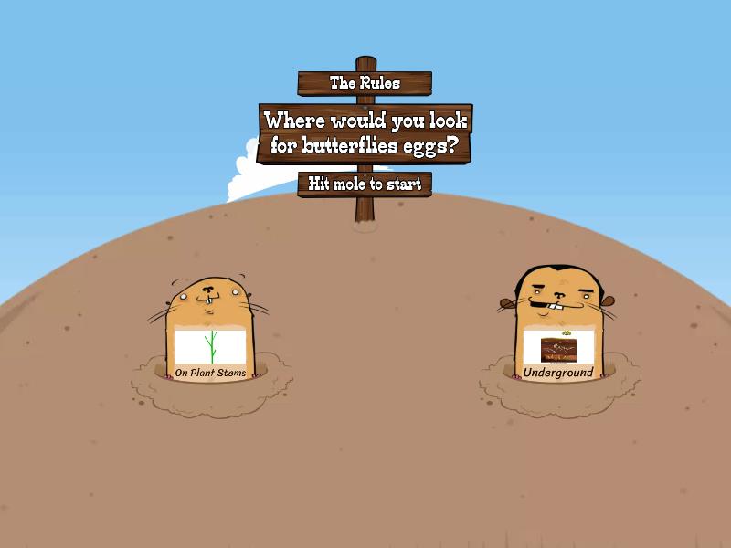 Life Cycle Wack A Mole Trivia Whack A Mole