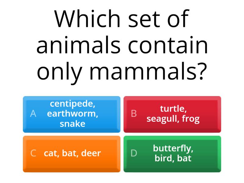 Animal Classification - Quiz